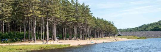 Campsite Details - Day Use Pass, Clough State Park, NH - New Hampshire ...